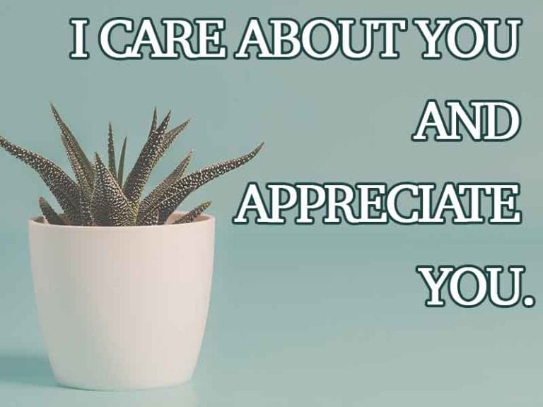 I Appreciate You Meaning From a Guy - 75 Ways to Say It